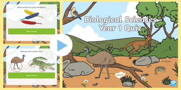 Year 1 Biological Sciences Quiz PowerPoint (teacher made)