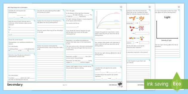 AQA Biology (Combined) Unit 4: Bioenergetics Higher Revision Activity Mat