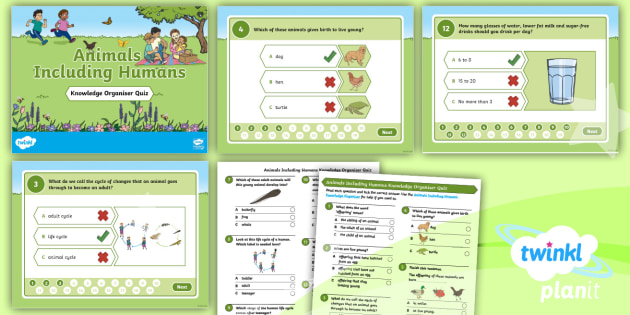 KS1 Science Quiz | Animals Including Humans | Year 2 Science