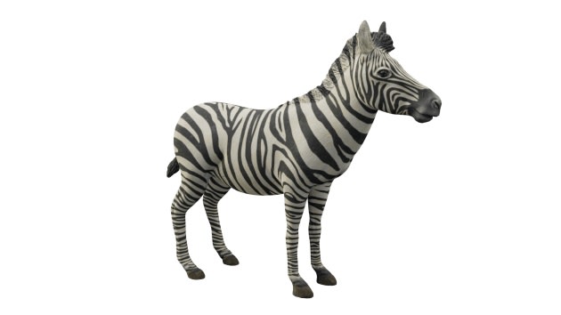 Zebra 3D — Realitatea augmentată — România