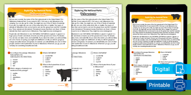 Second Grade Exploring the National Parks: Yellowstone Reading ...