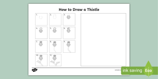 How to Draw a Thistle Step-by-Step - Activity for Children