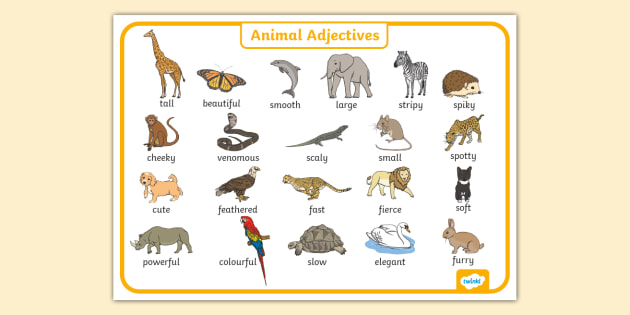 Animal Adjectives Word Mats | twinkl.com.au