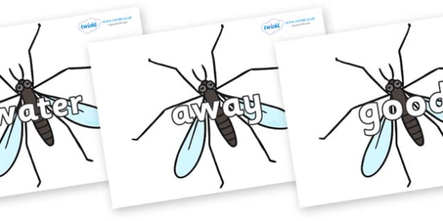 FREE! - Next 200 Common Words on Crane Flies - Next 200 Common Words on