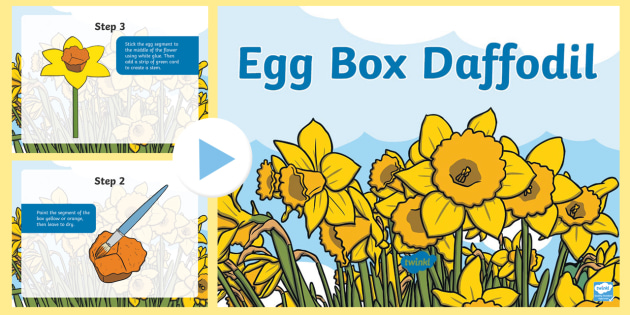 Egg Box Daffodil Craft Instructions PowerPoint