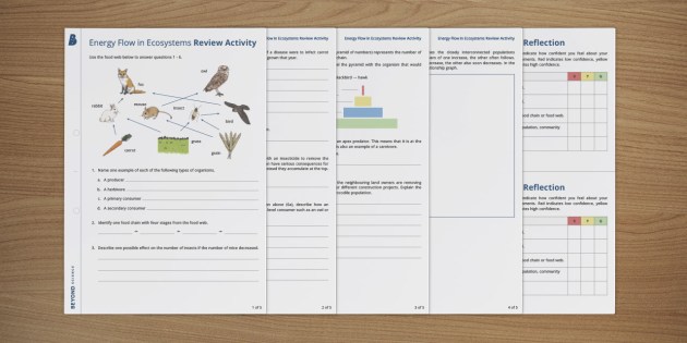Energy In Ecosystems Worksheet
