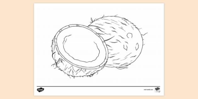 Coconut Colouring Page | Colouring Sheets