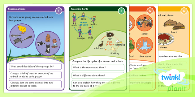 Science: Animals Including Humans: Reasoning Cards Year 2