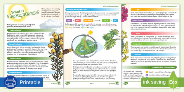 Photosynthesis New Book Light Harvesting In Photosynthesis