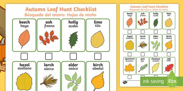 Autumn Leaf Hunt Checklist Activity English/Spanish