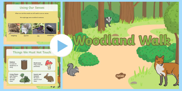 Woodland Walk EYFS PowerPoint