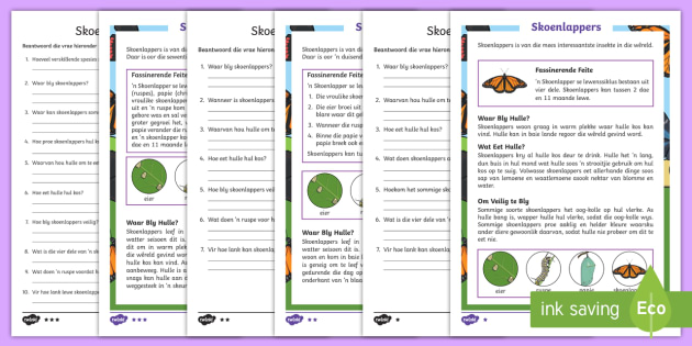 Skoenlappers Gedifferensieerde Begripslees Aktiwiteit