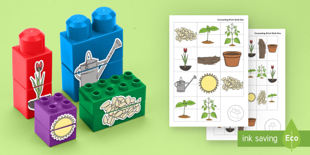 Plant Life Cycles Matching Connecting Bricks Game