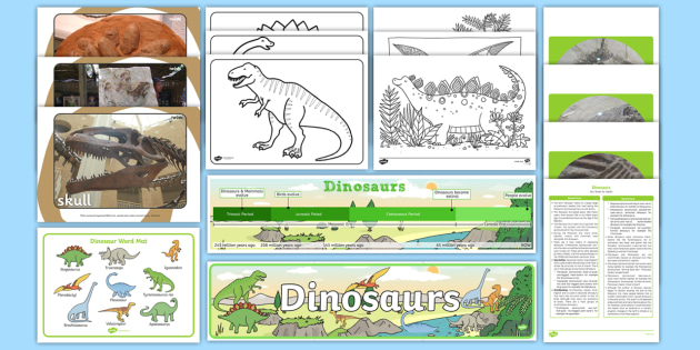 The Mesozoic Era Resource Pack (teacher made)