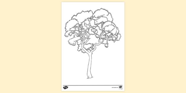Ghost Gum Colouring Sheet | Colouring Sheets (teacher made)