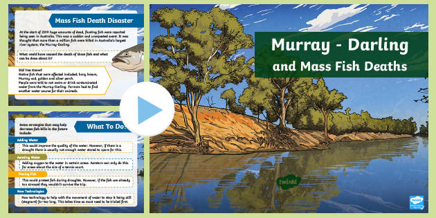 Mass Fish Death and the Murray-Darling PowerPoint
