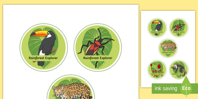 Rainforest Explorer Role Play Badges (teacher made)