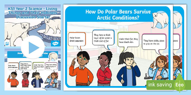 KS1 Year 2 Living Things and Their Habitats Discussion Starter