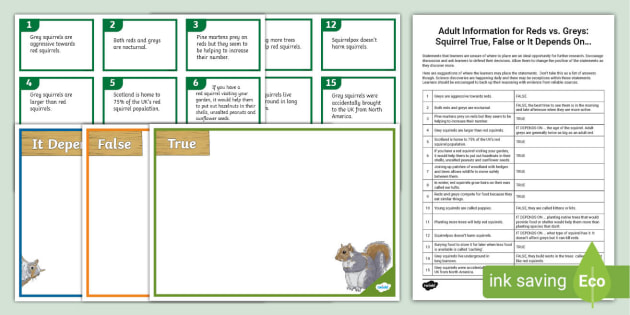 Red Squirrel Sorting Activity | Primary Resources | CfE