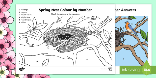Spring Nest Building Colour by Number (teacher made)
