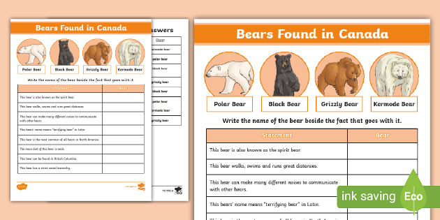 Bears Found in Canada Activity - Grades 4-6