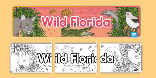 Wild Florida Banner