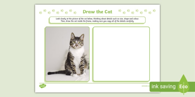 * NEW * Draw a Cat Art Activity (creat de profesori)