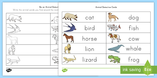 Animals Read and Write the Room Activity (teacher made)
