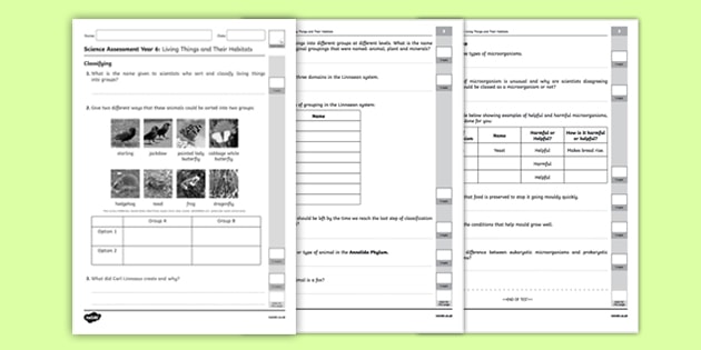 Year 6 Living Things And Their Habitats Complete Unit Of
