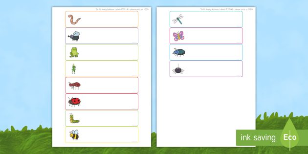 Minibeast-Themed Gratnell Drawer Labels (teacher made)