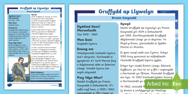 Ffeil Ffeithiau Gruffydd ap Llywelyn