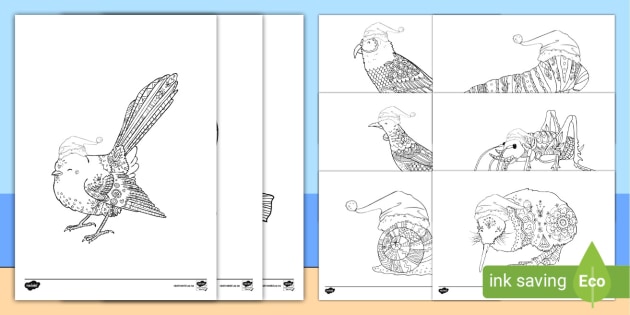 New Zealand Bird and Bug Christmas Mindfulness Colouring