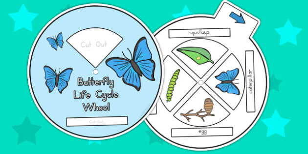 Butterfly Life Cycle Spin Wheel - life cycles, visual aids