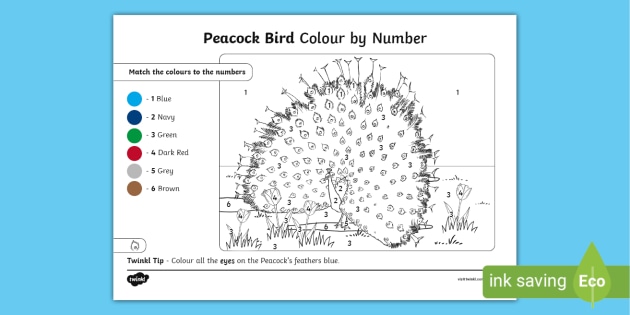 FREE! - Peacock Bird Colour by Number (teacher made)