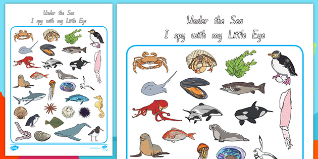 New Zealand I Spy with My Little Eye Under the Sea Activity