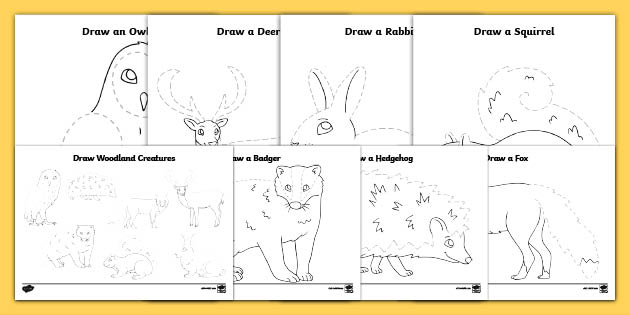 EYFS Draw a Woodland Creature Pencil Control Activity Pack