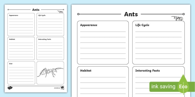 Ants Fact File Template (teacher made)
