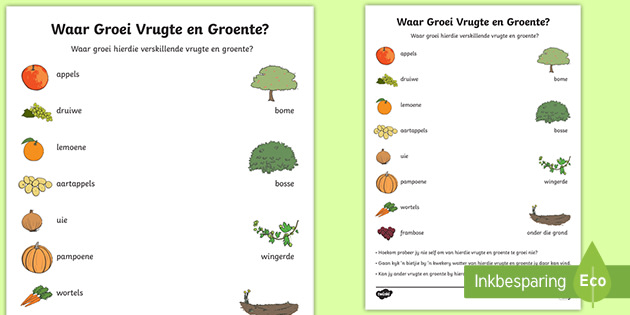 Waar Groei Vrugte en Groente Aktiwiteit (teacher made)