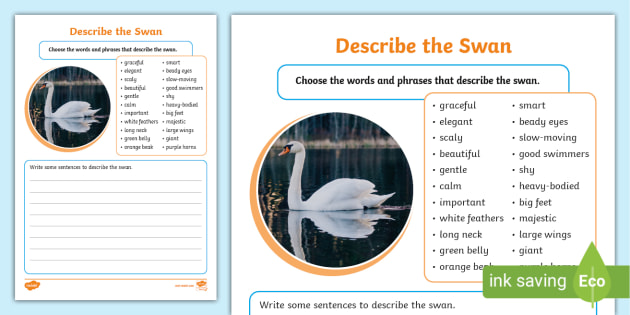 Describe the Swan Writing Activity (teacher made)