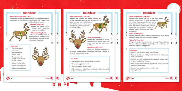 KS1 Reindeer Differentiated Reading Comprehension Activity - Christmas ...