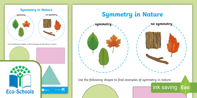FREE! - Eco-Schools Symmetry in Nature (teacher made)