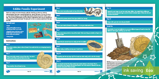 Edible Fossils Experiment