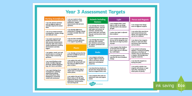 Year 3 Science Assessment Display Posters