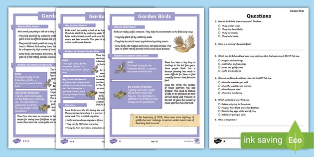 FREE! - KS2 Garden Birds Differentiated Reading Comprehension Activity