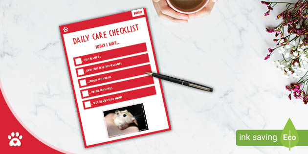 Gerbil Care - Daily Checklist - Gerbils - Pet - Twinkl Pets