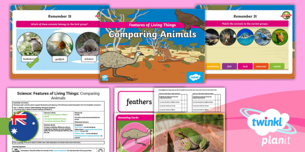 Year 1 Science Living Things Lesson 2 Comparing Animals