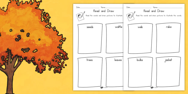 Autumn Read and Draw Worksheet