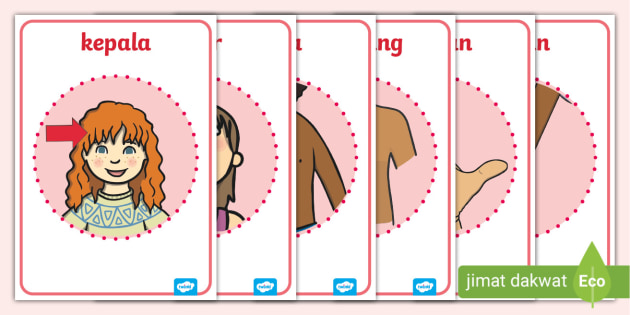 Poster Anggota Badan yang comel dan menawan (teacher made)