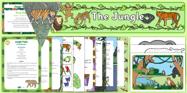 Childminder Jungle and Rainforest EYFS Resource Pack