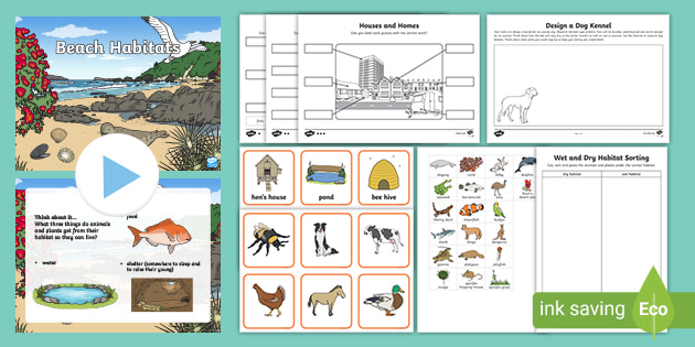 Geography First/Second Class Local Environment Animal Homes
